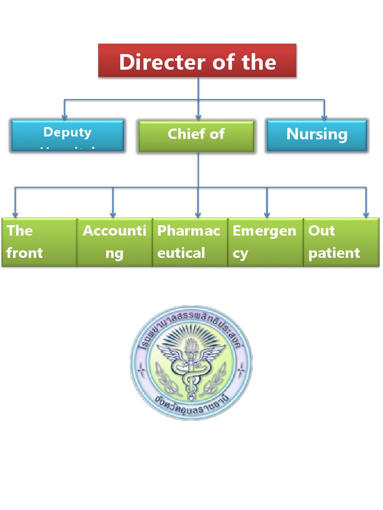 Directer of The Hospital | PDF