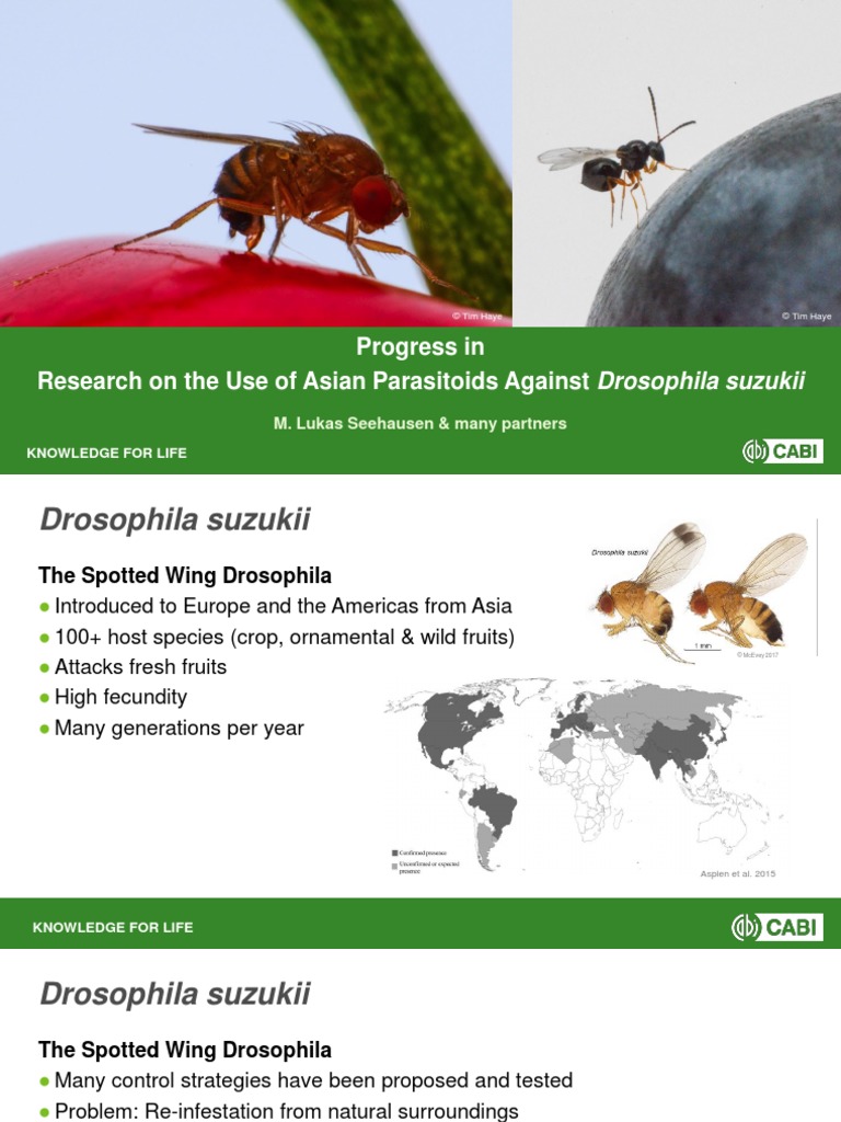 'Progress in Research On The Use of Asian Parasitoids Against ...