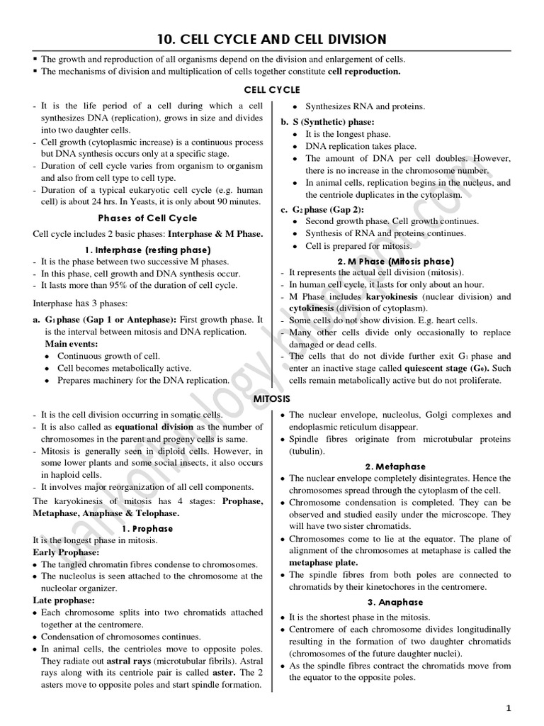 Cell Cycle N Cell Division | PDF | Meiosis | Mitosis