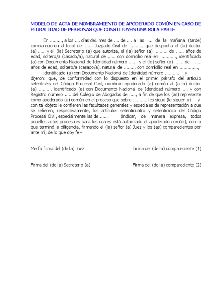 Modelo de Acta de Nombramiento de Apoderado Común en Caso de Pluralidad de Personas Que ...