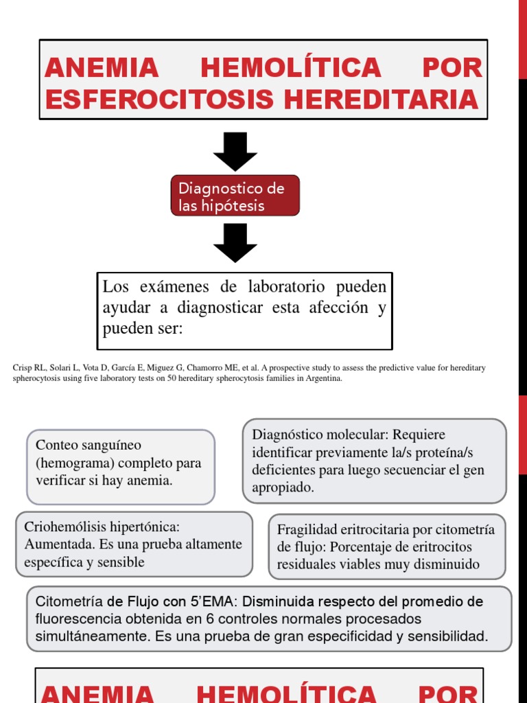 Anemia Hemolítica Por Esferocitosis Hereditaria | PDF | Especialidades ...