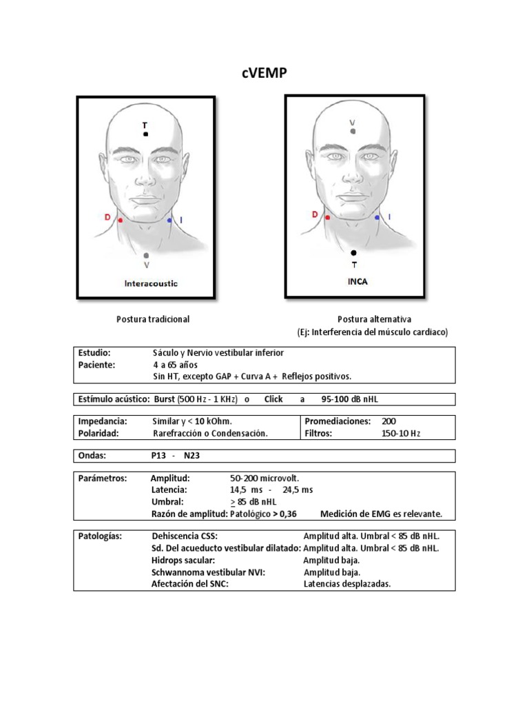Guía Cvemp y Ovemp | PDF | Sistema nervioso | Naturaleza