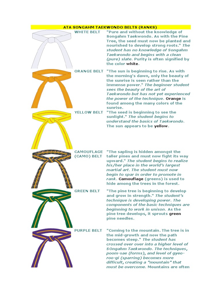 Songahm Taekwondo Belt Ranks Explained | PDF | Nature