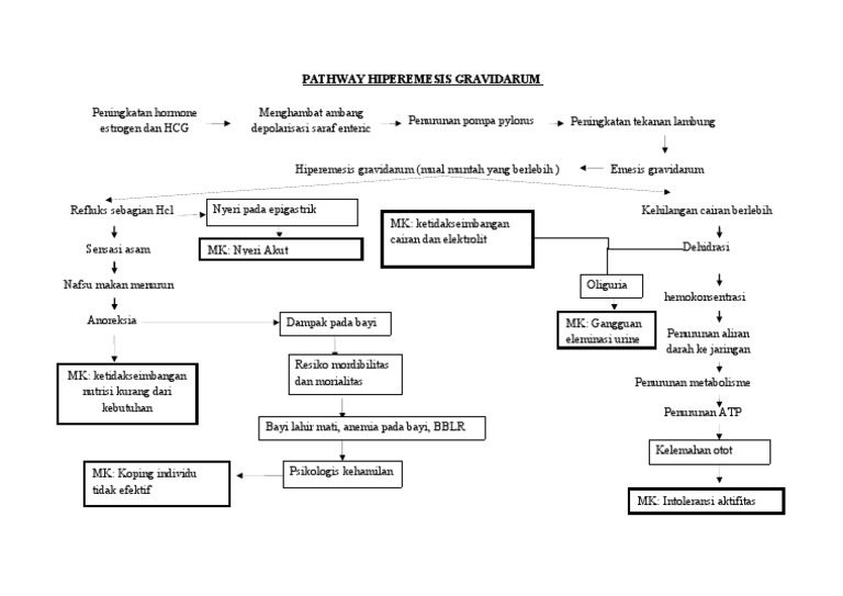 Pathway Hiperemesis Gravidarum | PDF