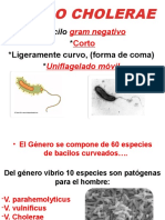 Medio SIM | PDF | Medio de crecimiento | Esterilización (Microbiología)