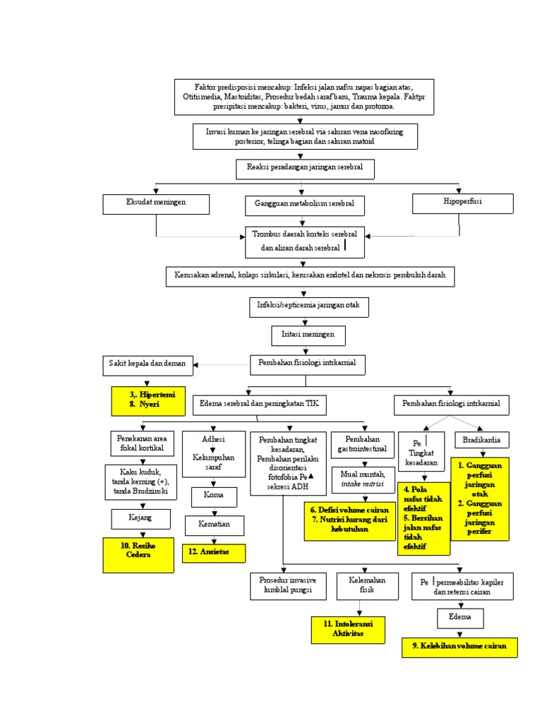 Woc Meningitis | PDF