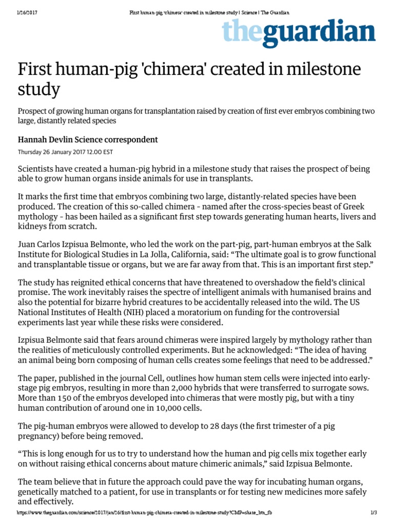 First Human-Pig 'Chimera' Created in Milestone Study: Thursday 26 ...