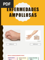 Diaz Apaza Anthony Jesus-Diascopia - Vitropresion | PDF ...