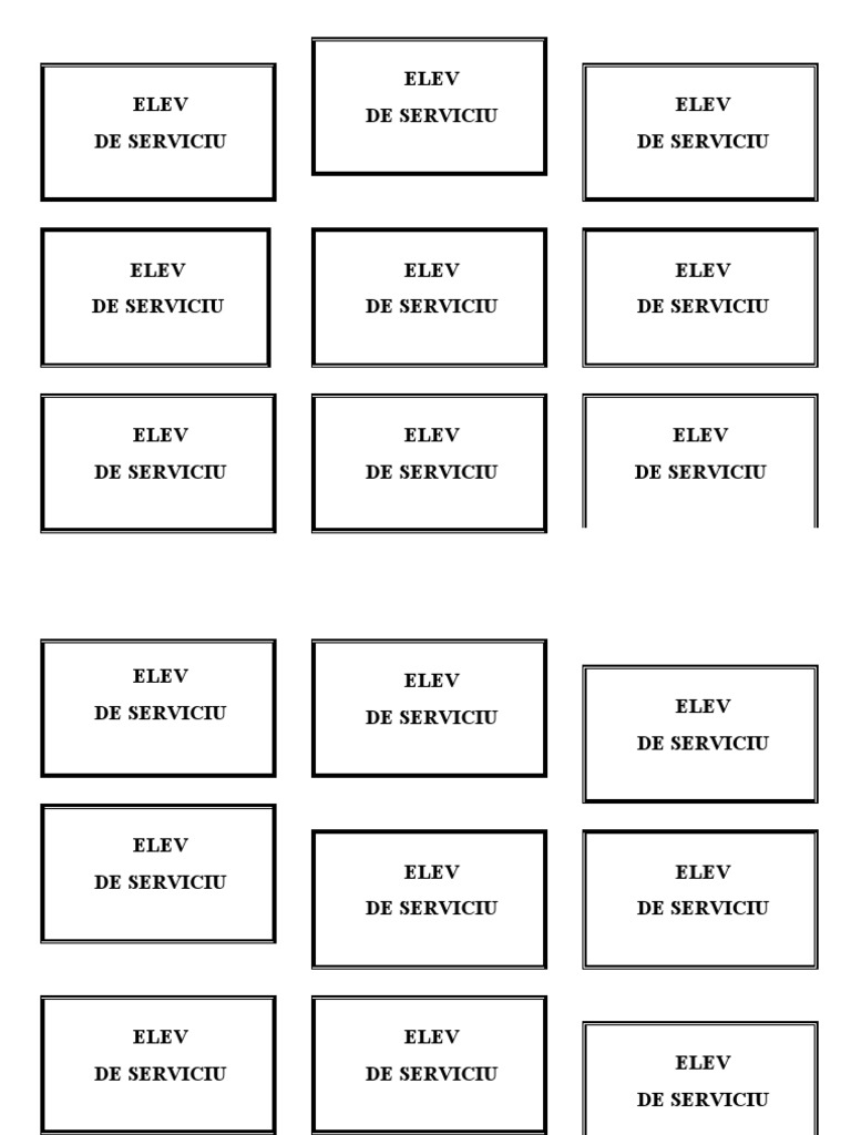 Elev de Serviciu Elev de Serviciu Elev de Serviciu | PDF