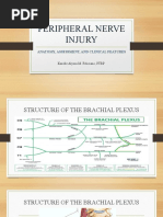 Sample Emg/Ncv Report - Normal Study | PDF | Electromyography ...
