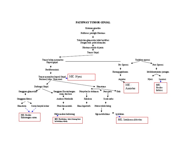 Pathway Tumor Renal | PDF
