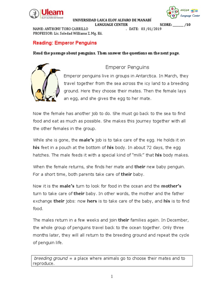 Emperor Penguins' Breeding Cycle | PDF | Penguin | Birds