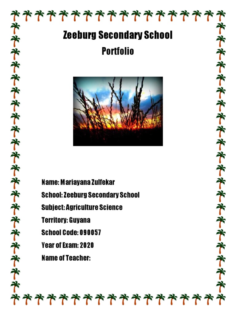 Zeeburg Secondary School: Portfolio | PDF