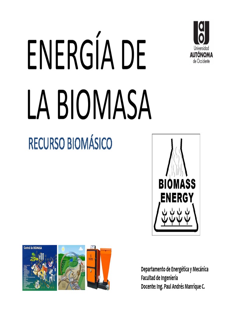 Biomasa - Recurso de La Biomasa PDF | Biomasa | Biocombustible