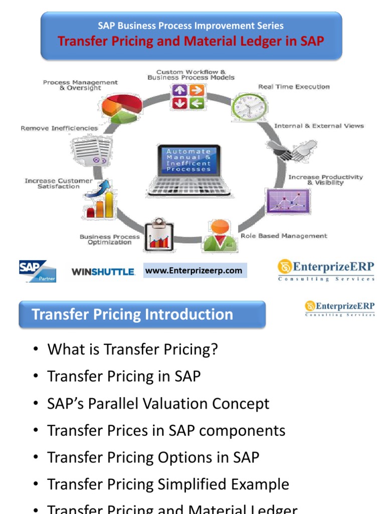SAP Business Process Improvement Series Transfer Pricing and Material ...