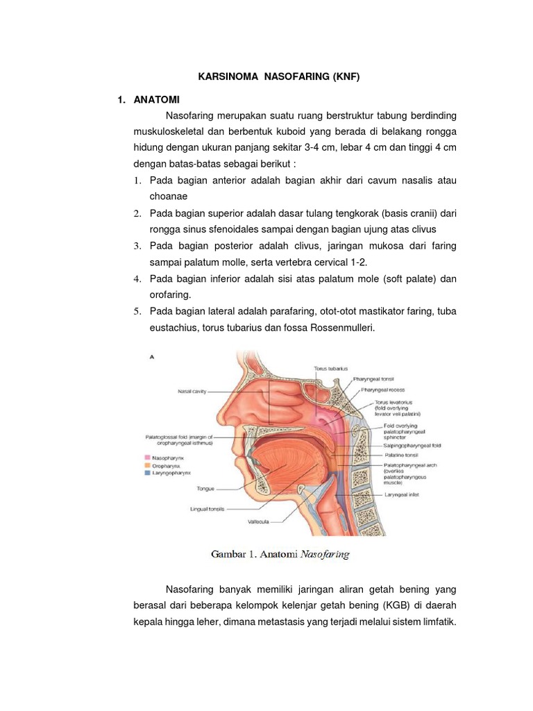 Karsinoma Nasofaring | PDF