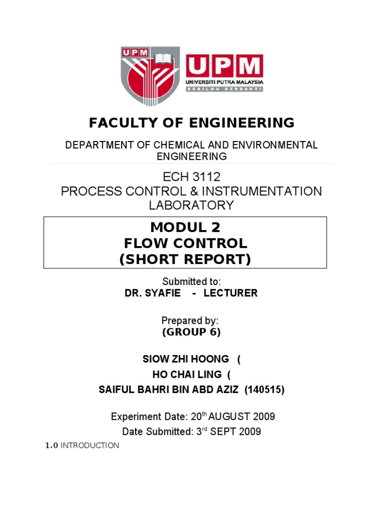 Short Report Flow Process | PDF | Control Theory | Systems Engineering