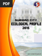 DENR Solid Waste Disposal Guidelines | PDF | Landfill | Waste Management