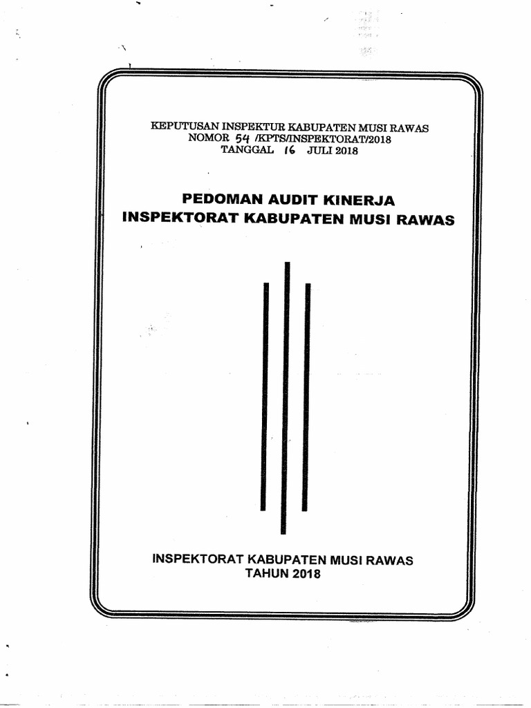 Pedoman Audit Kinerja | PDF