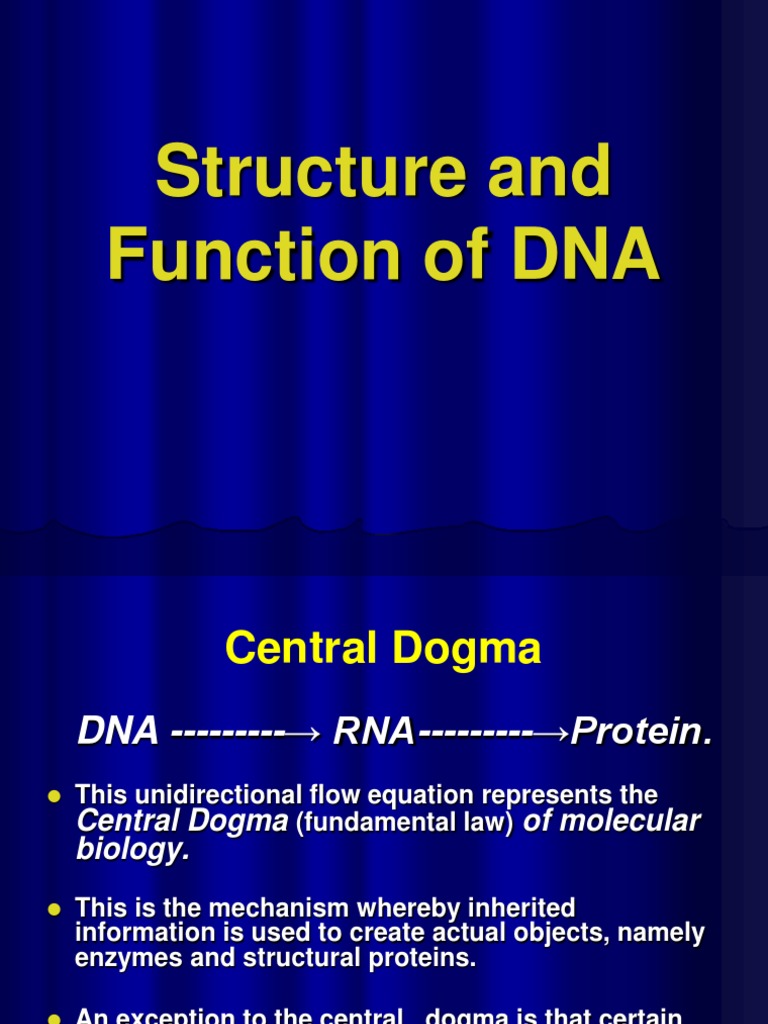 Structure and Function of DNA | PDF | Nucleic Acids | Dna Replication