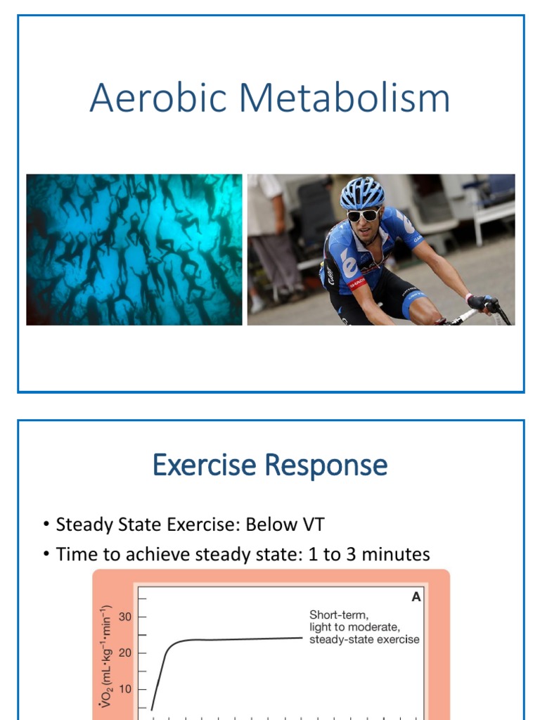Aerobic Metabolism | PDF | Determinants Of Health | Clinical Medicine