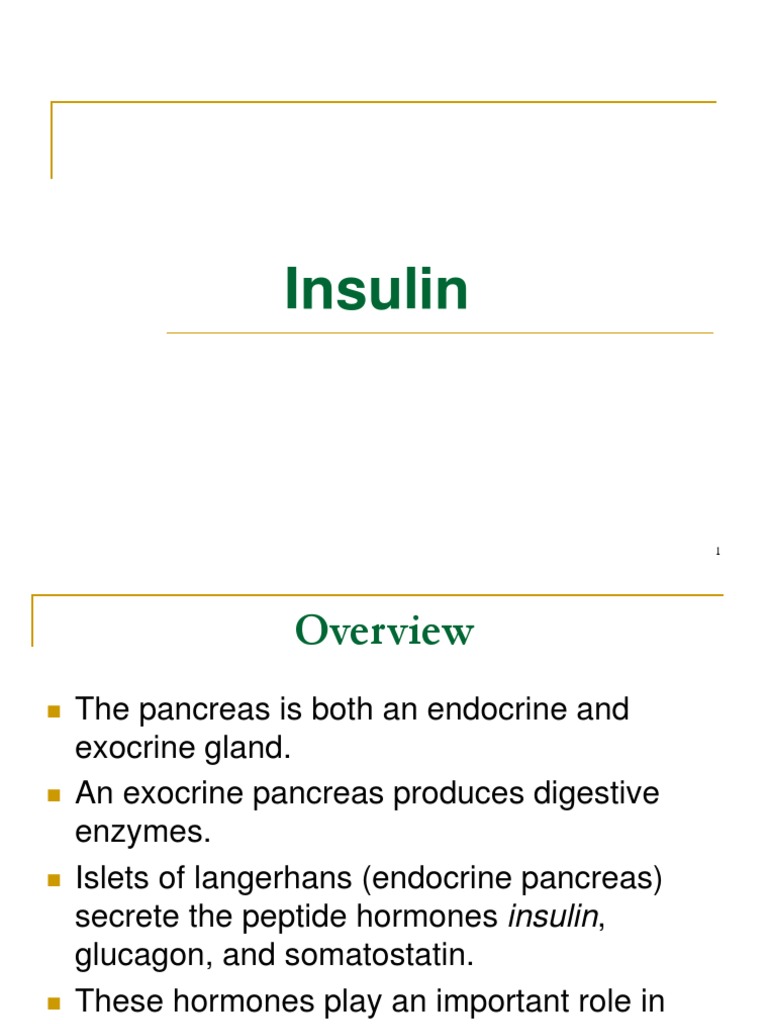 Insulin: Types, Functions, and Treatment | PDF | Diabetes Mellitus Type ...