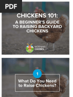 Medicine Chart For Chickens | PDF | Candidiasis | Medical Diagnosis