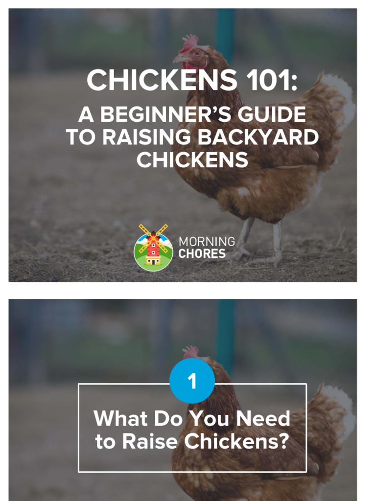 Chickens 101:: A Beginner'S Guide To Raising Backyard Chickens | PDF ...