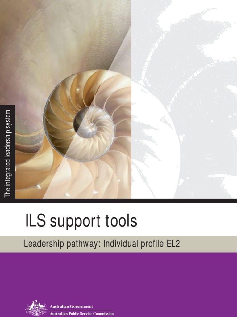 Integrated Leadership Strategy Outline | PDF | Expert | Goal