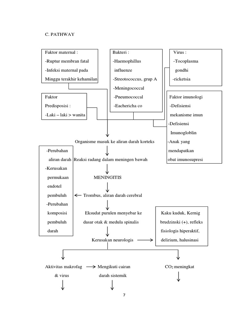 Pathway Meningitis | PDF
