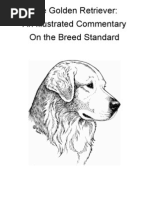 Study Guide for A Dog's Purpose | PDF | Philosophy