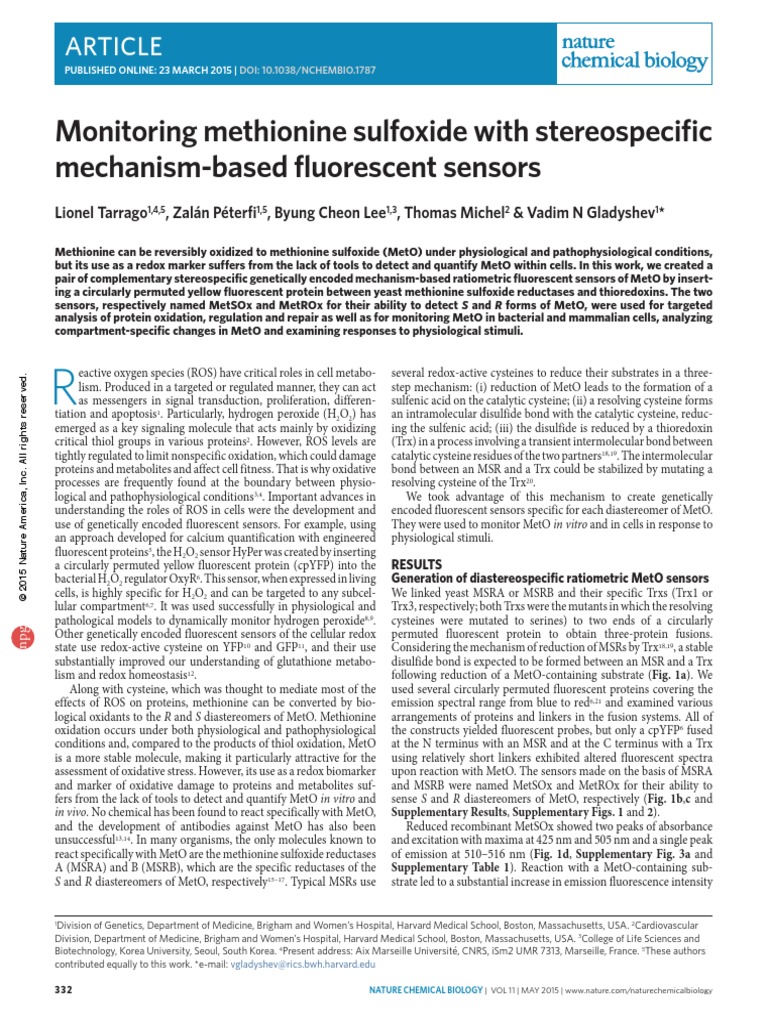 Fluorescence Paper | PDF | Cysteine | Reactive Oxygen Species