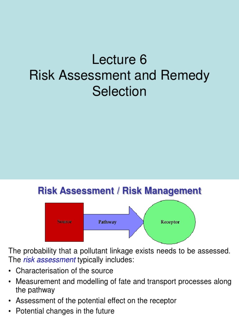 Risk Assessment and Remedy Selection | PDF