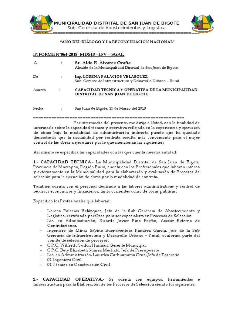 Informe de Capacidad Tecnica Operativa | PDF | Logística | Economias