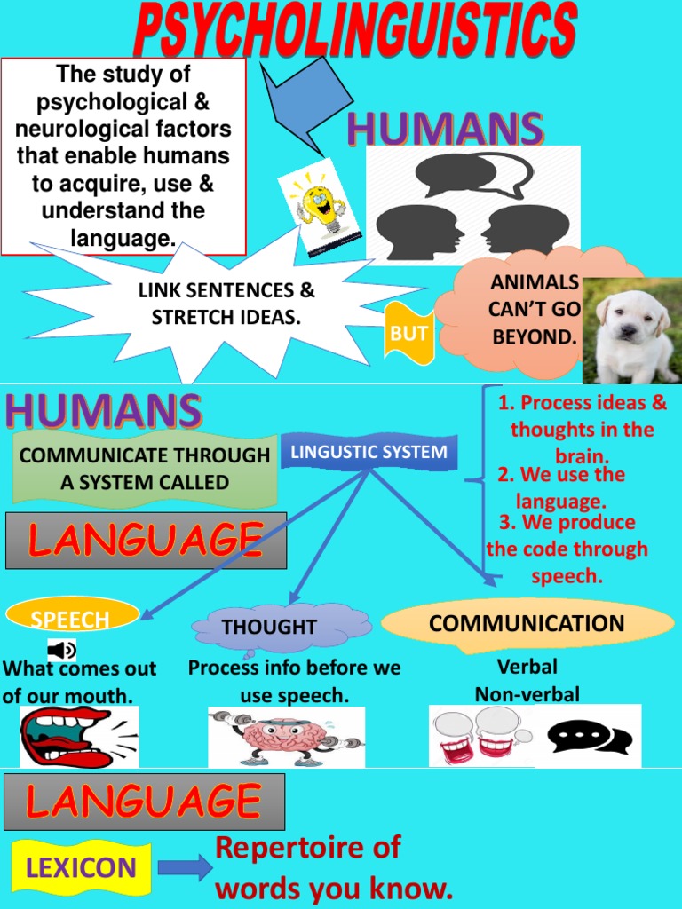MIND MAP-Psycholinguistics | PDF