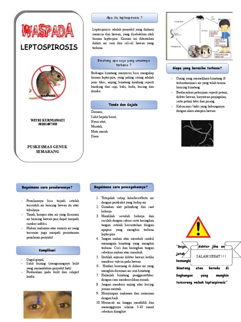 Leaflet Lepto Fix | PDF