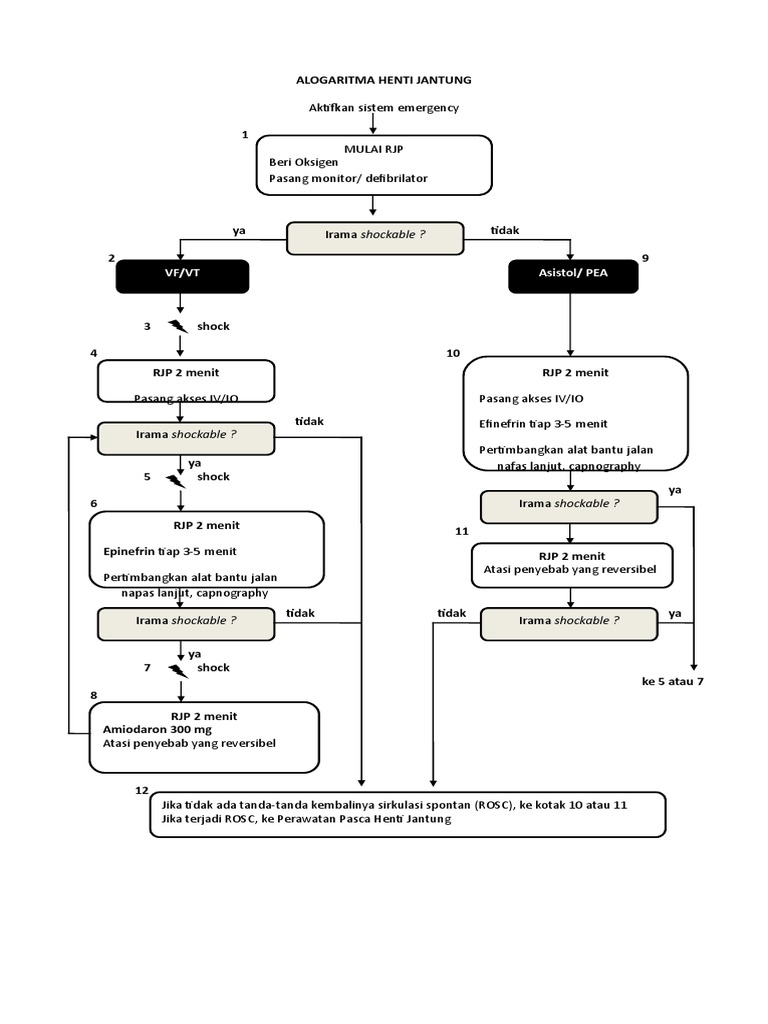 Alogaritma Henti Jantung | PDF