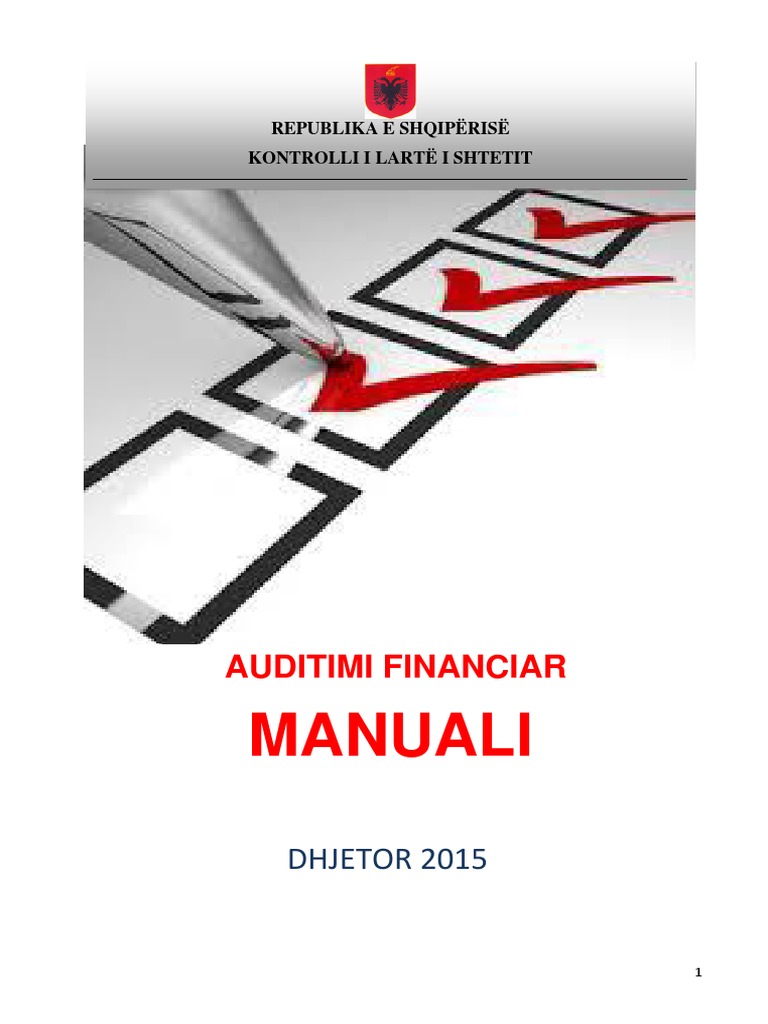Auditimi Financiar | PDF