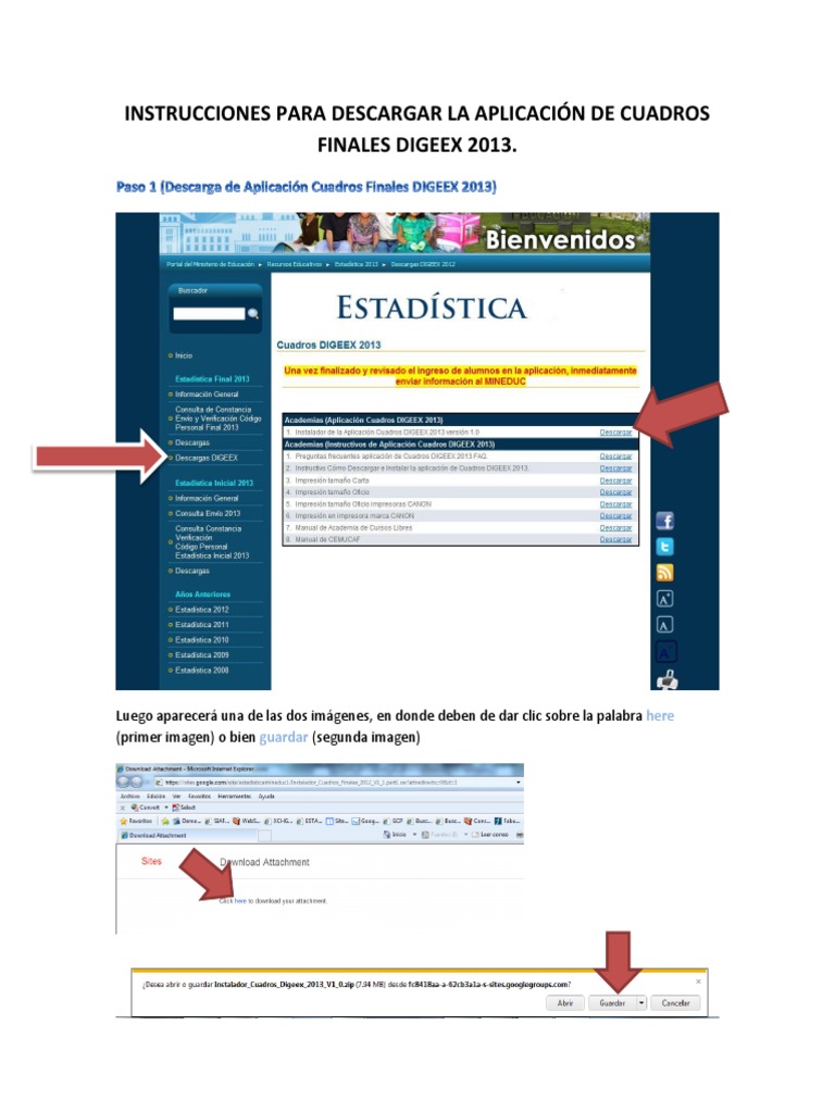 Como Descargar La Aplicacion Digeex e Instalarla | PDF | Point and ...