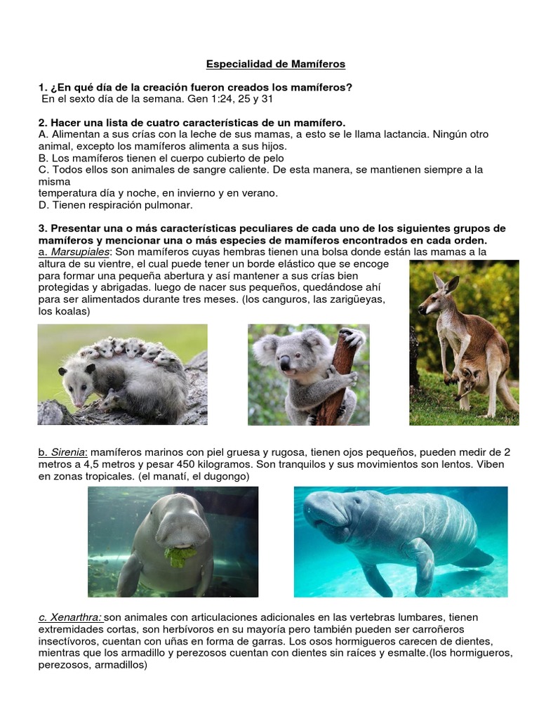 Mamíferos | PDF | Mamíferos | Naturaleza
