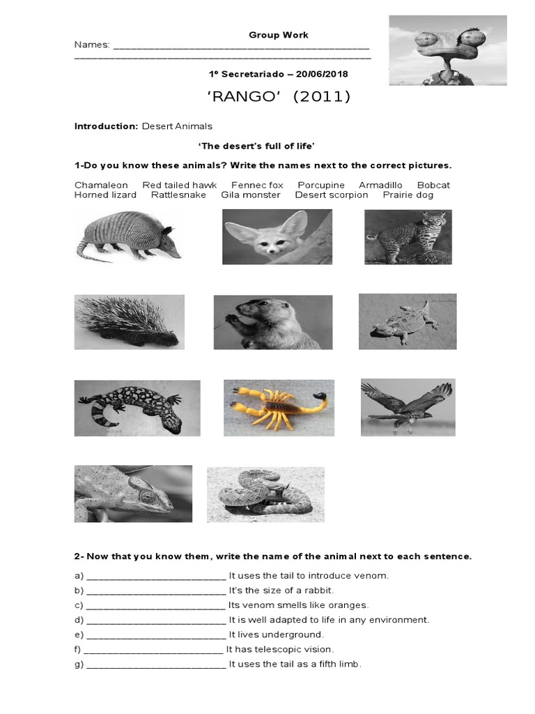 RANGO Activities | PDF | Lizard | Nature