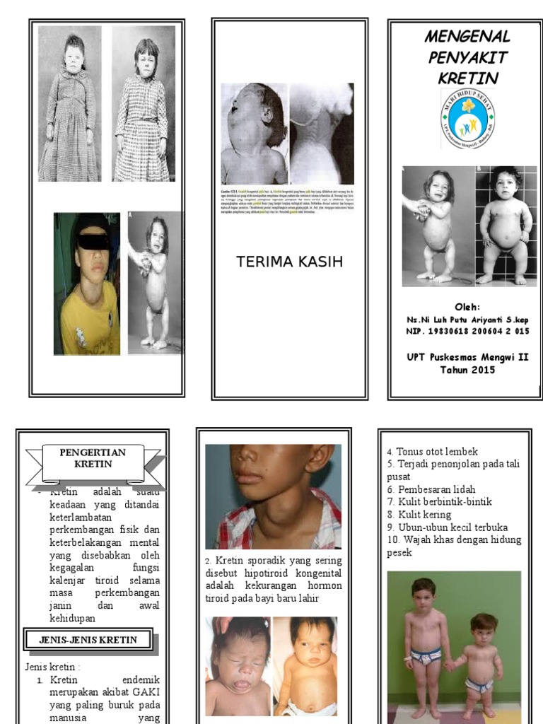 LEAFLET Kretin | PDF