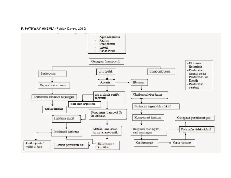 F. PATHWAY ANEMIA (Patrick Davey, 2015) : Ketidak Seimbangan Nutrisi | PDF