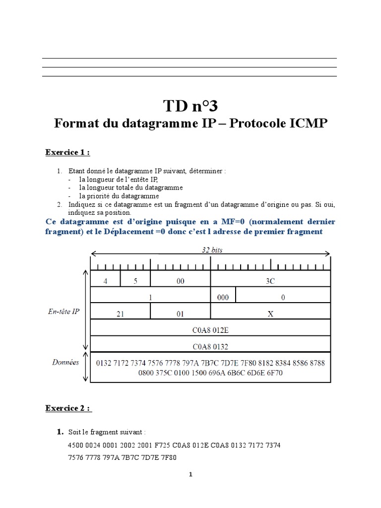 Analyse du protocole ICMP et fragmentation | PDF
