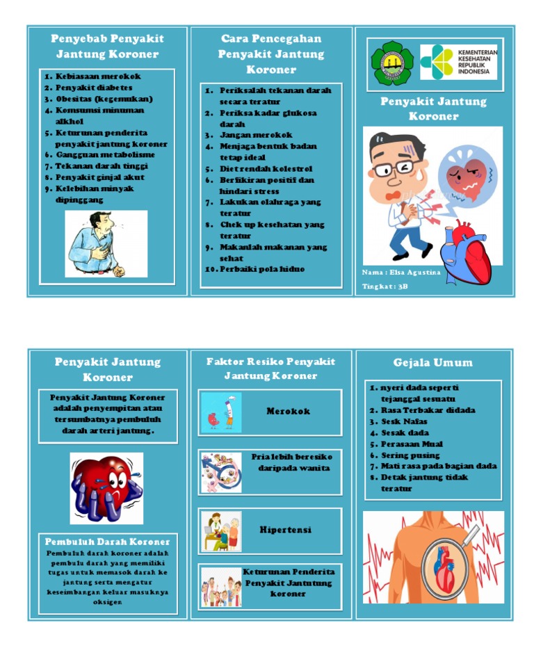 Elsa Agustina Tingkat 3B Leaflet PJK | PDF