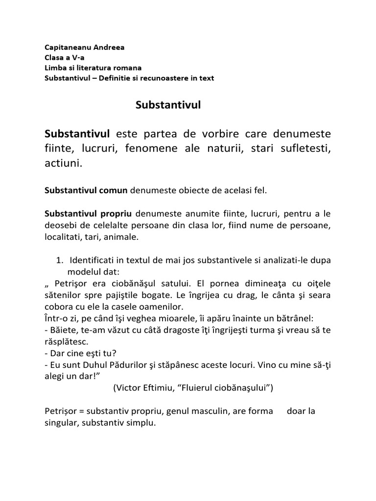 Fisa Substantiv | PDF