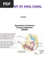 Kelly Kennedy Lymphatic Lessons | PDF | Lymphatic System | Lymph