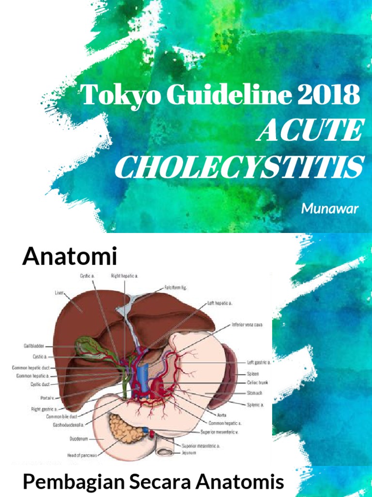 Tokyo Guideline 2018 - Cholecystitis (Small Size) | PDF