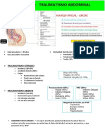 Maniobras y Signos de La Apendicitis | PDF | Gastroenterología | Medicina