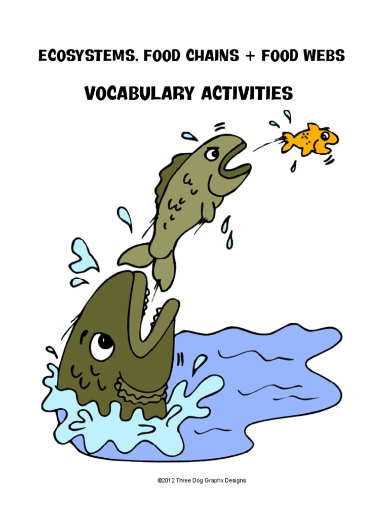 Ecosystems and Food Chains | PDF | Food Web | Ecosystem